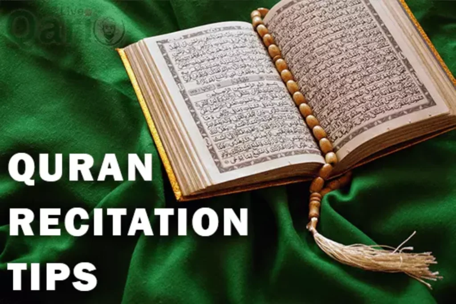 Best Quran Recitation Tips Sound Like A Qari In No Time
